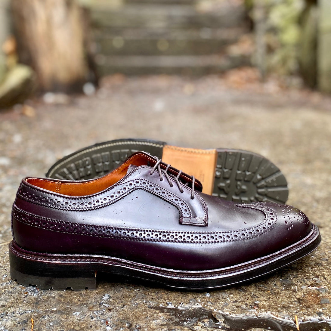975C - Long Wing w Commando Sole in Color 8 Shell Cordovan – ALDEN SHOES