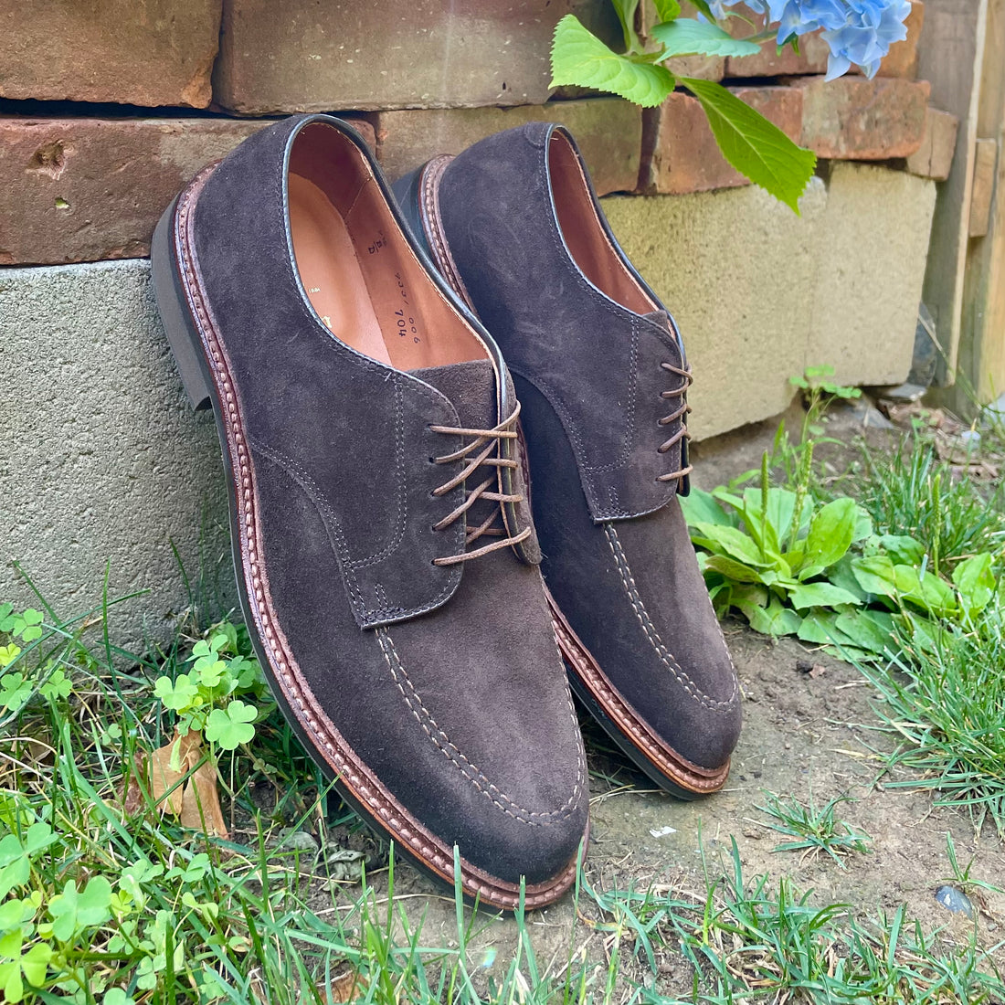 704 Mocc Toe Blucher in Brown Suede – ALDEN SHOES